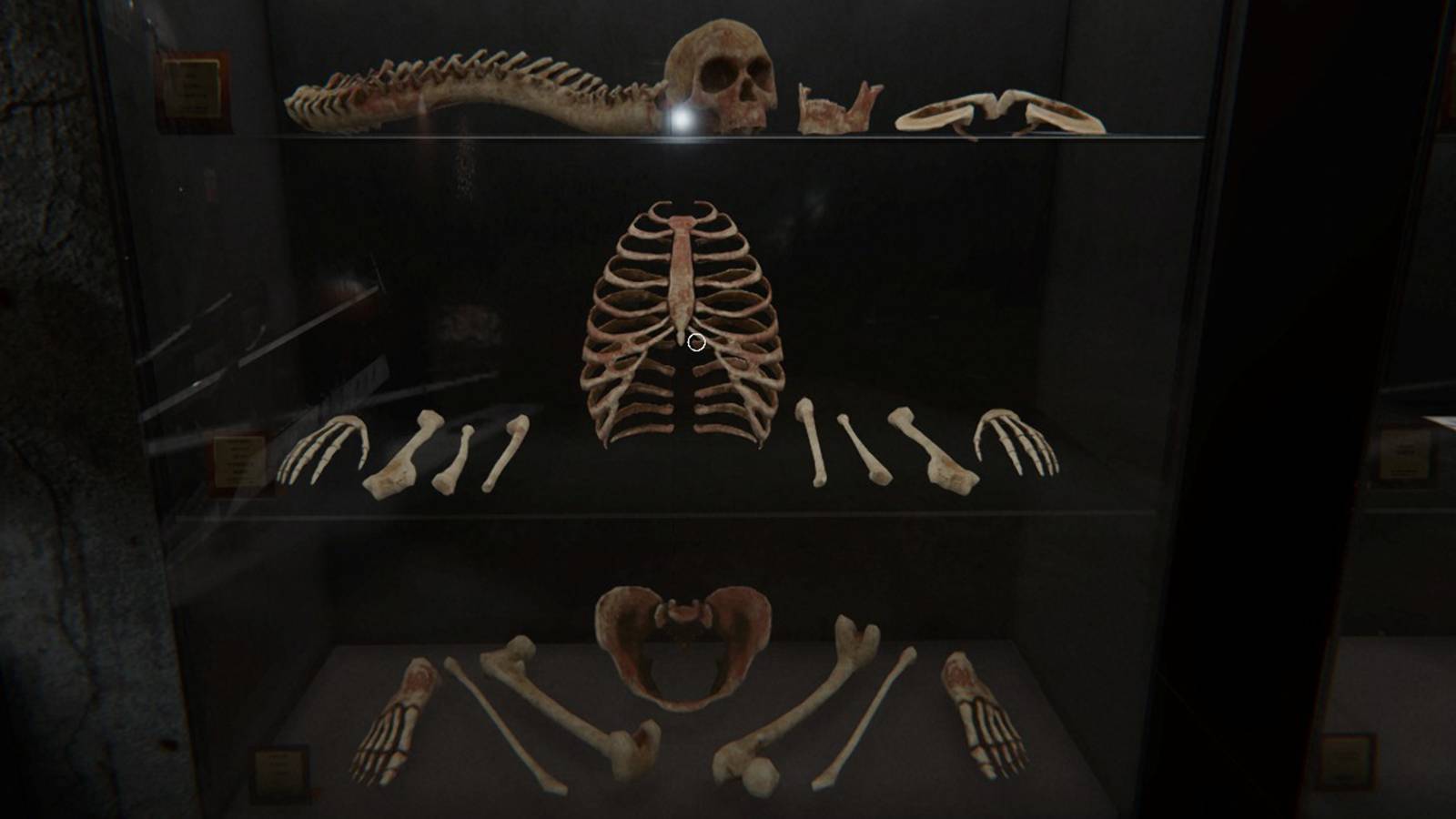 Phasmophobia: All Difficulty Setting Differences, Explained