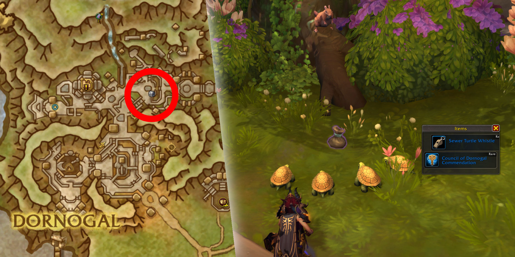 WoW: The War Within – How To Get Dalaran Sewer Turtle Pet