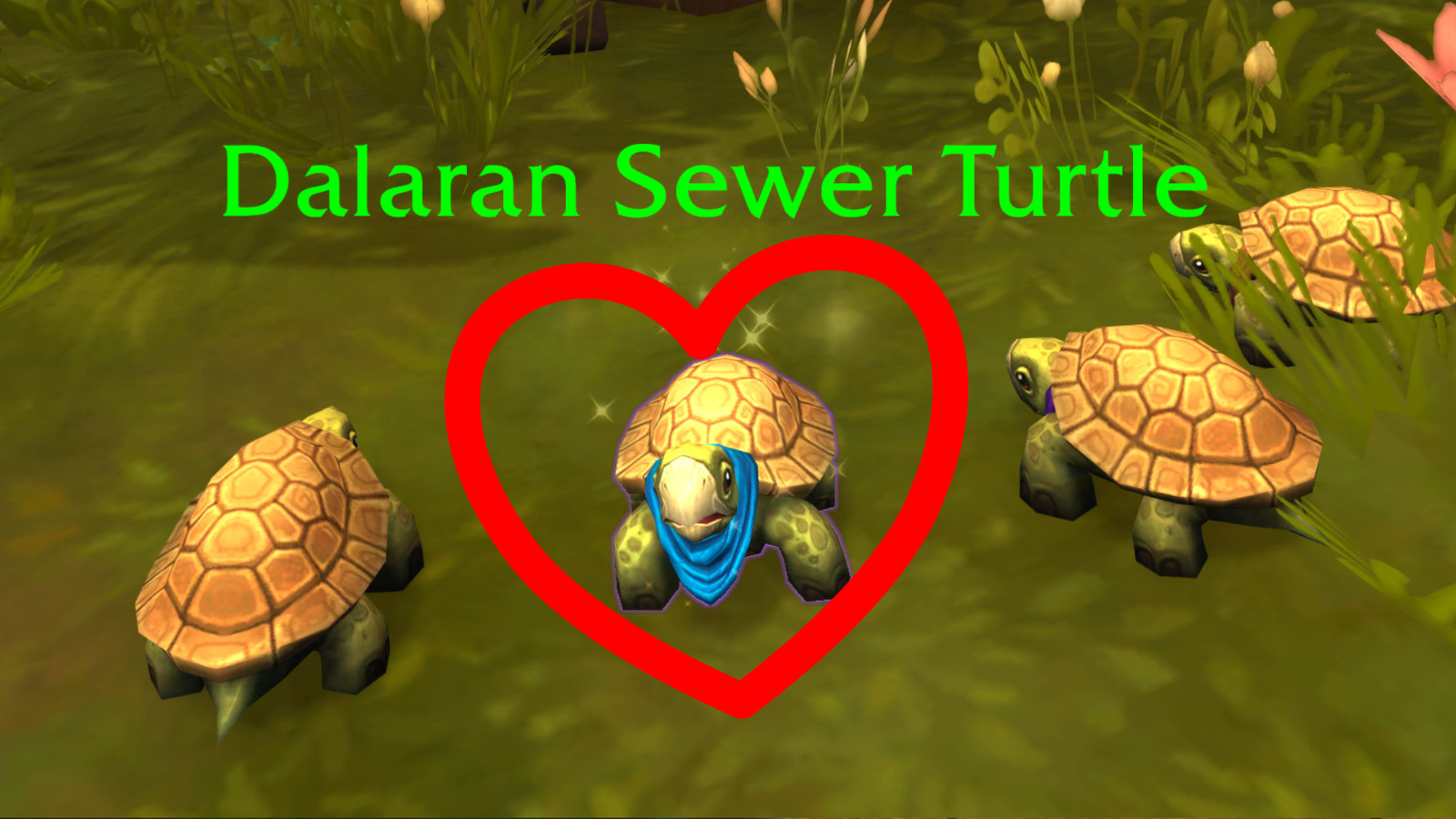 WoW: The War Within – How To Get Dalaran Sewer Turtle Pet