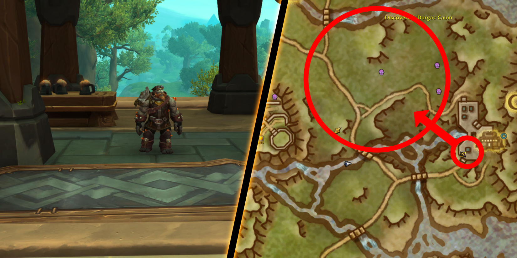 WoW: The War Within – Secret Bee Mount Location (Soaring Meaderbee)