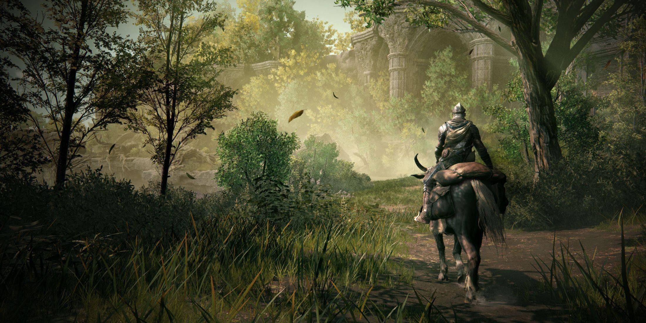 Elden Ring: Stranded Graveyard Dungeon Guide