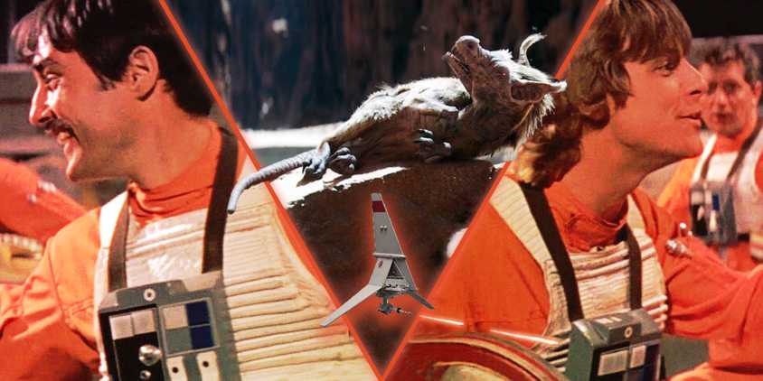 Star Wars: What Are The Gorax?
