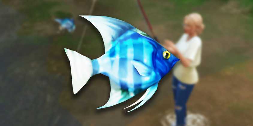 How to Get a Pomegranate Tree in The Sims 4