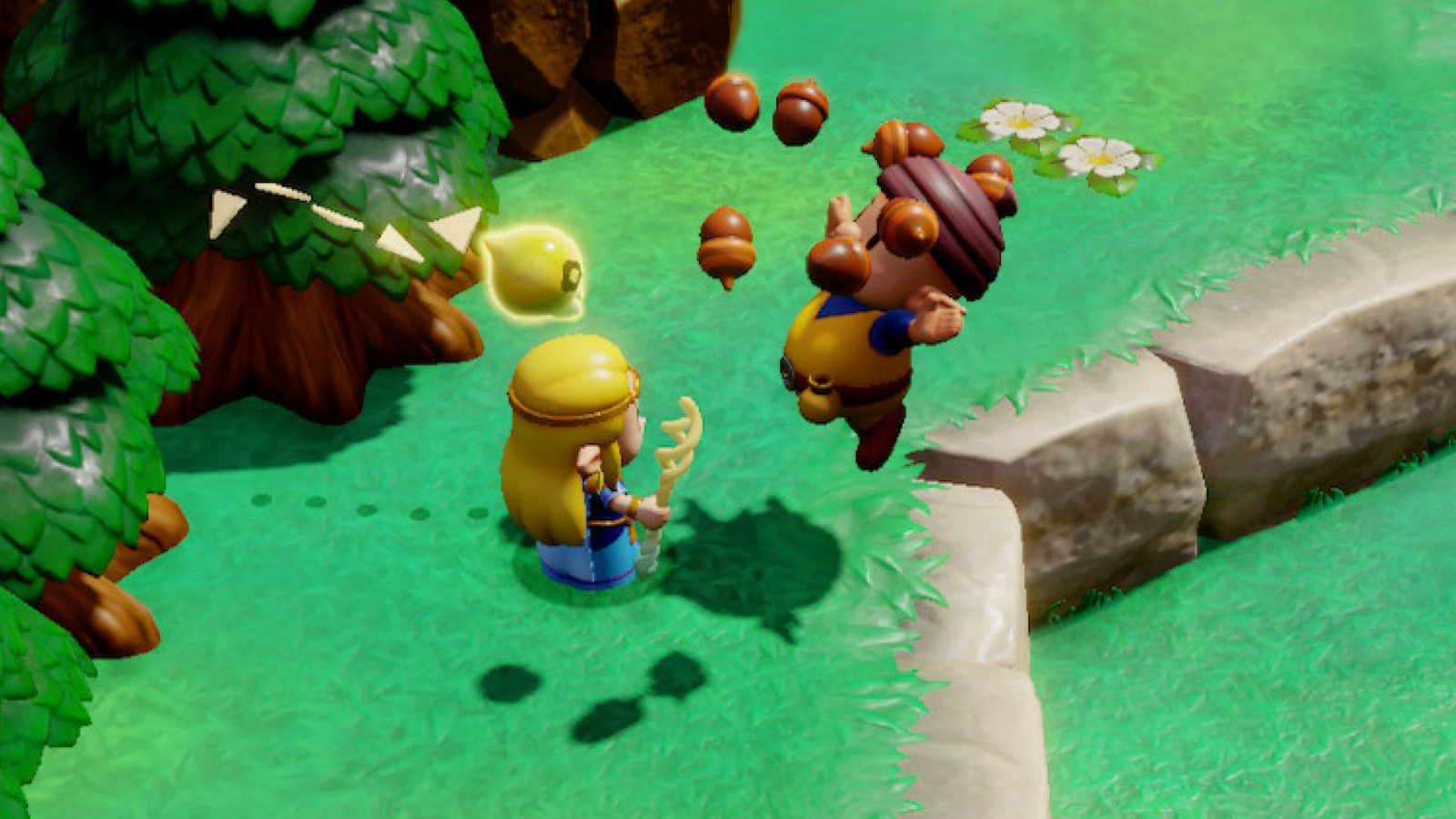 Acorn Gathering Minigame Routes & Rewards Guide for Zelda: Echoes of Wisdom