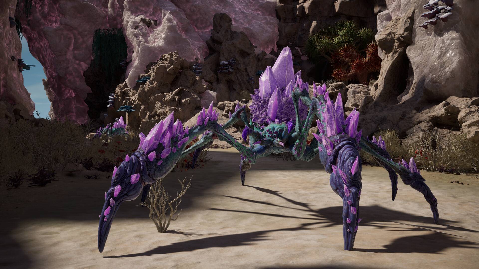 Every Main Character And Their Voice Actor In Avowed