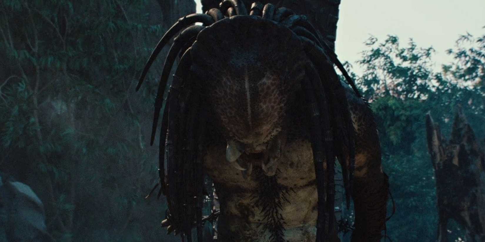 The Most Powerful Predators, Ranked