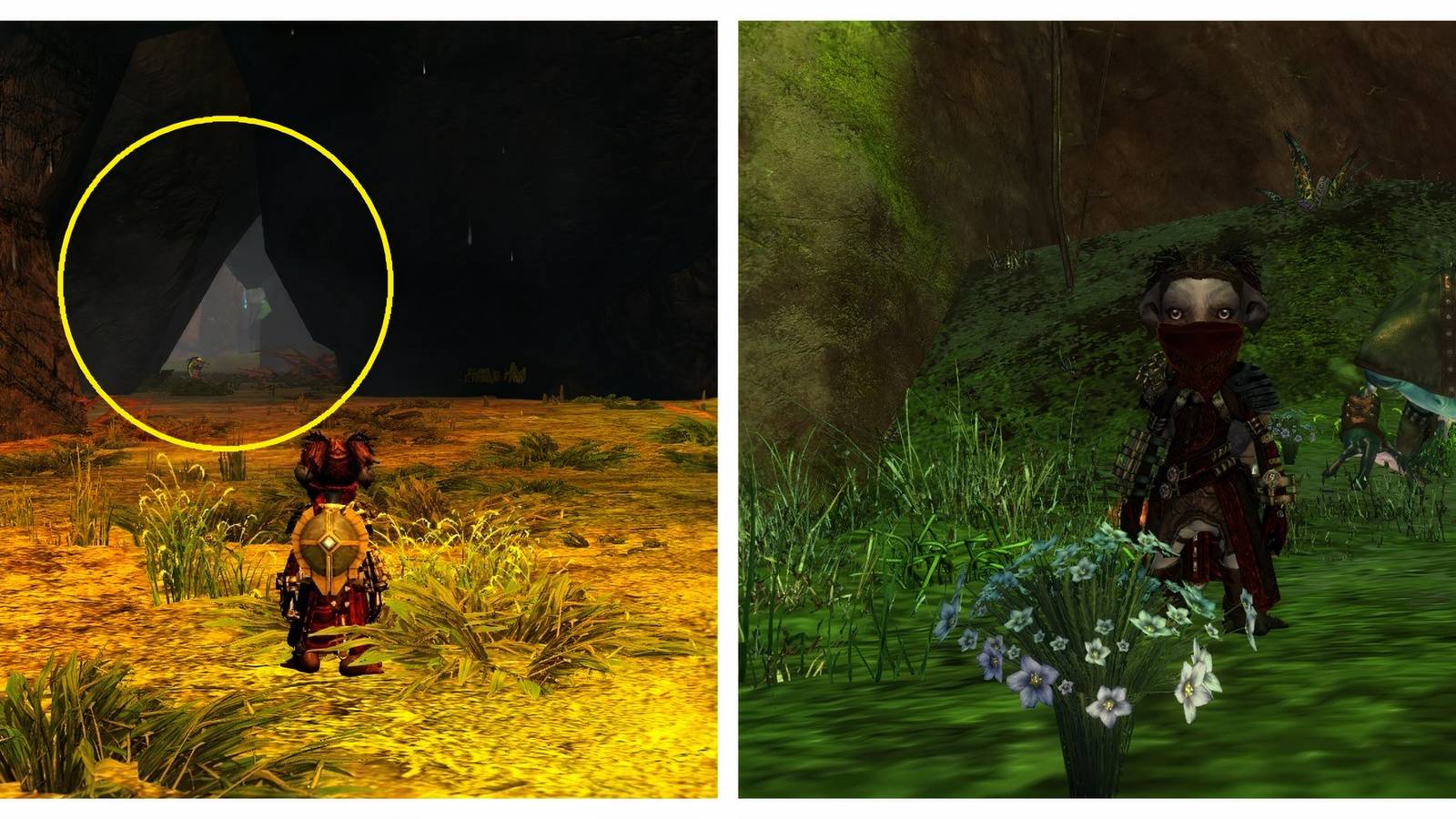 Guild Wars 2: Best Flax Farming Locations