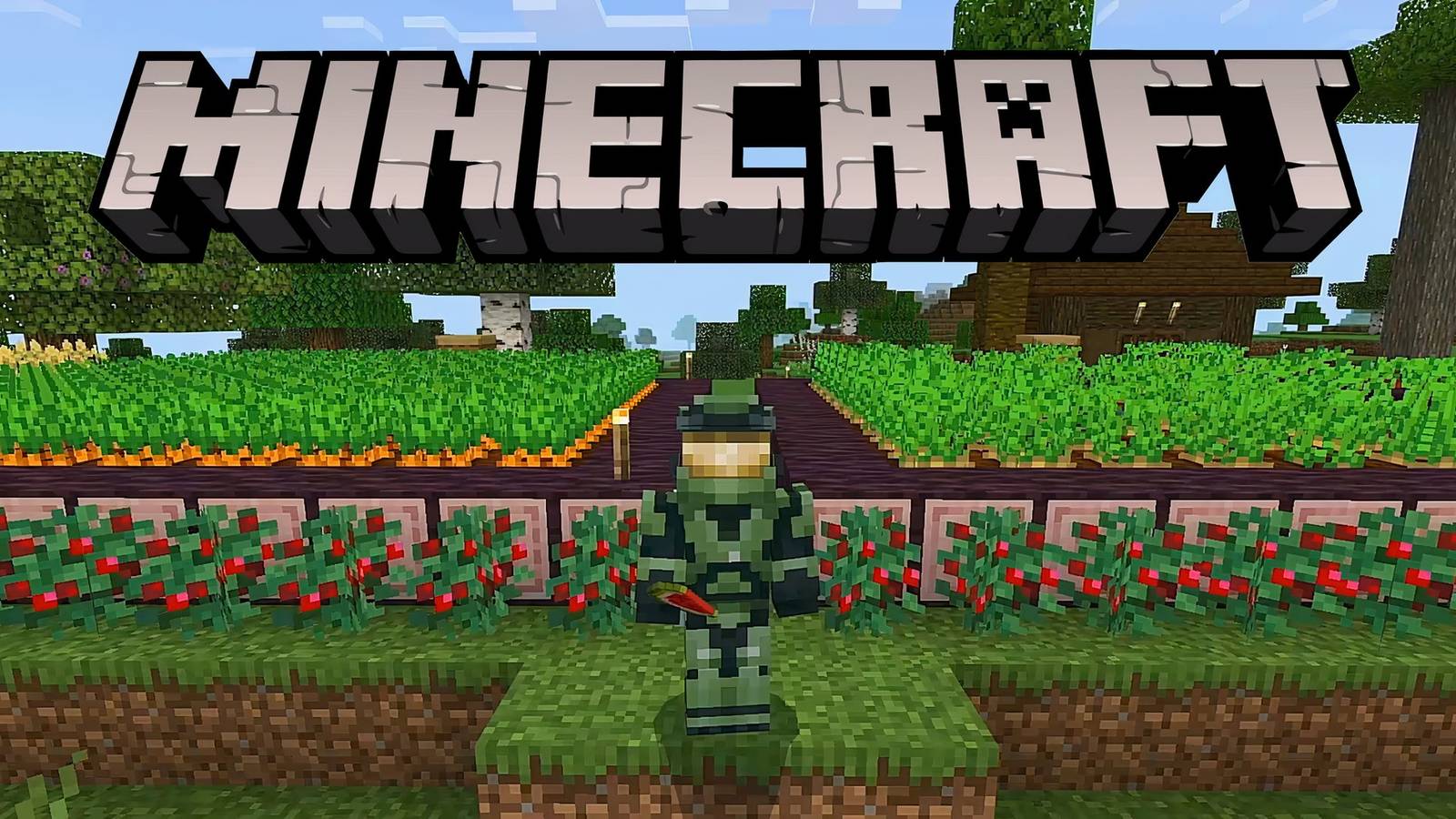 Minecraft食品层清单 - Recmg.com