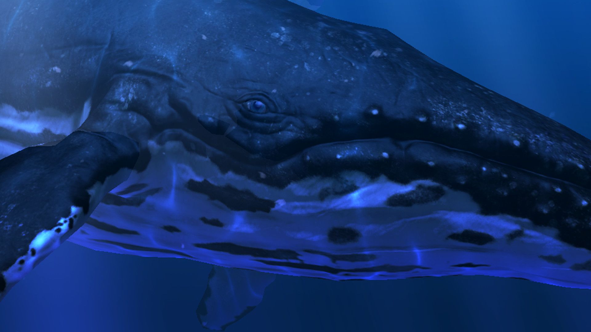 Best Games Where You Can Explore The Deep Ocean