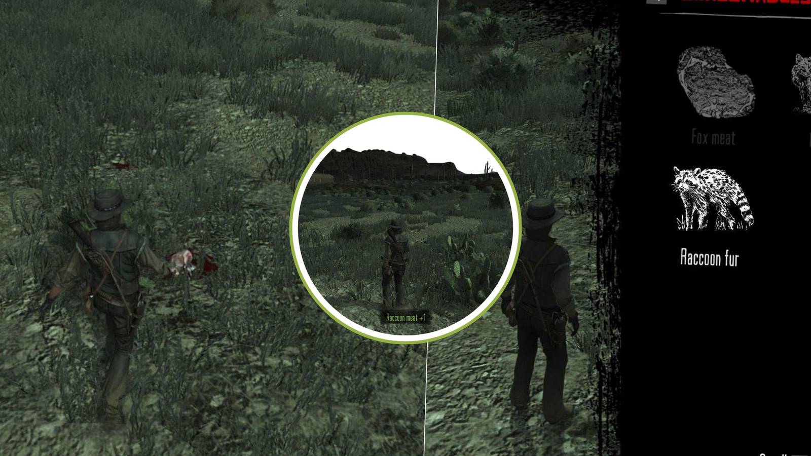 How to Find Raccoons in Red Dead Redemption
