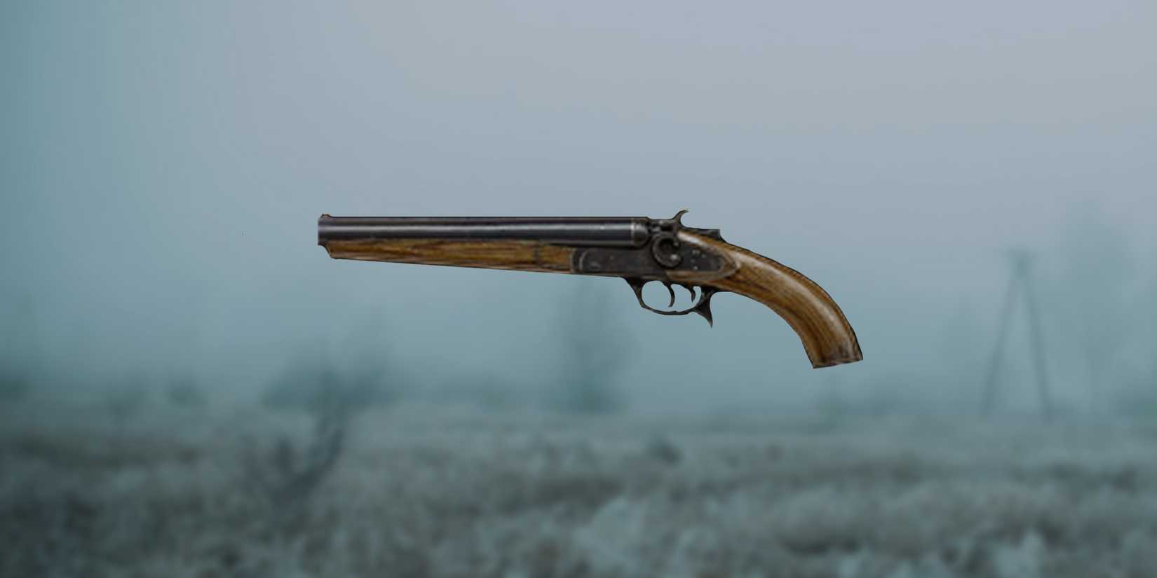 Best Shotguns In STALKER 2