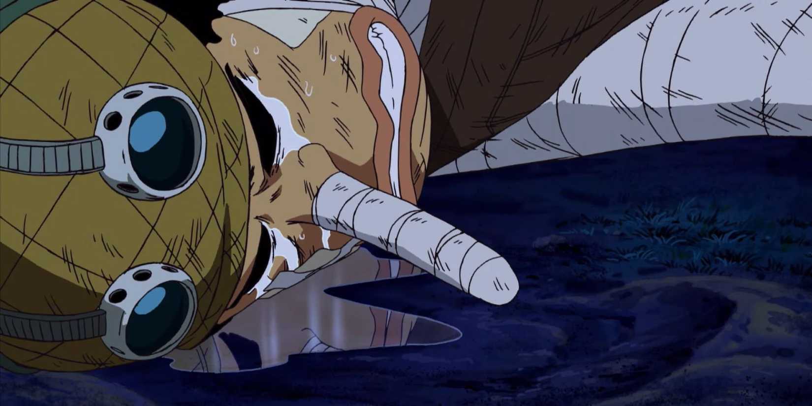 One Piece: The Death Of A Straw Hat, Explained