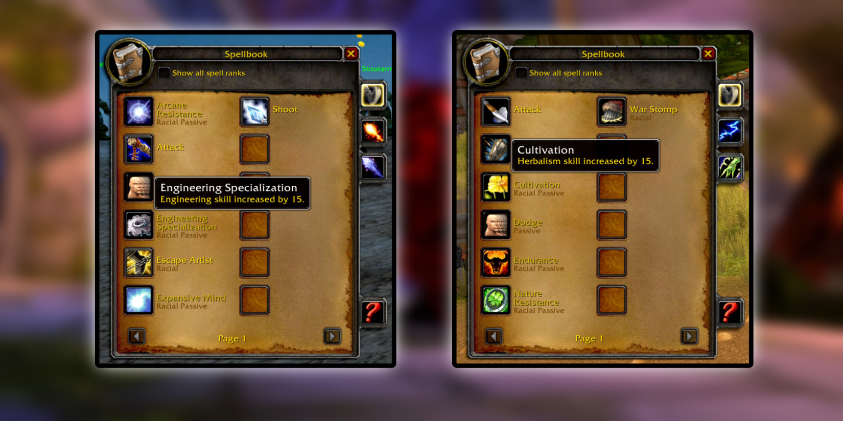 Best WoW Classic Racial Abilities, Ranked