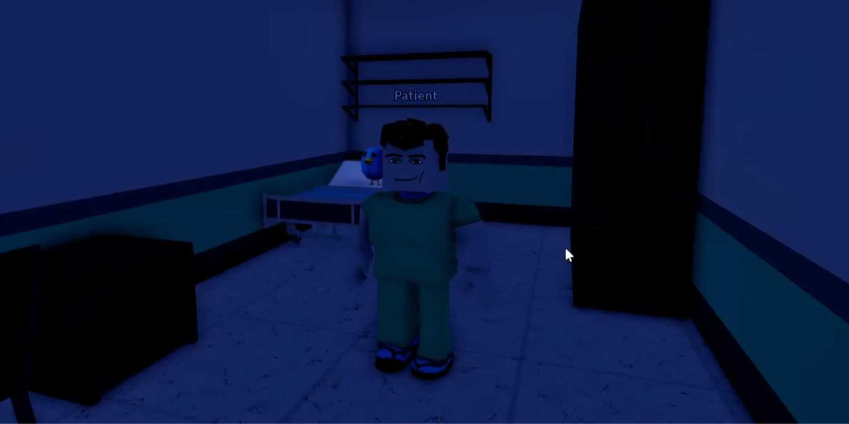 Roblox: Asylum Life Codes