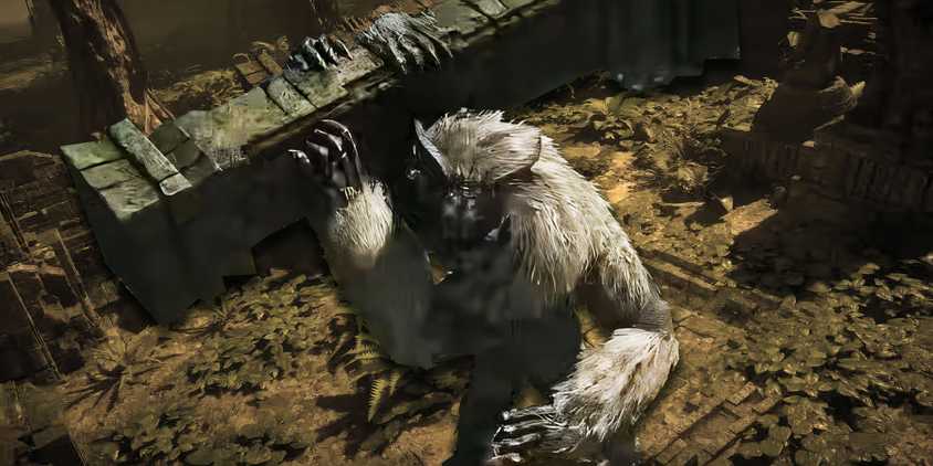 Path of Exile 2: How To Unlock & Use Reforging Bench