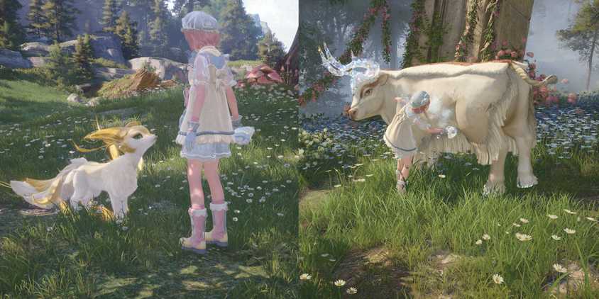 Legendary Creatures Location In Infinity Nikki