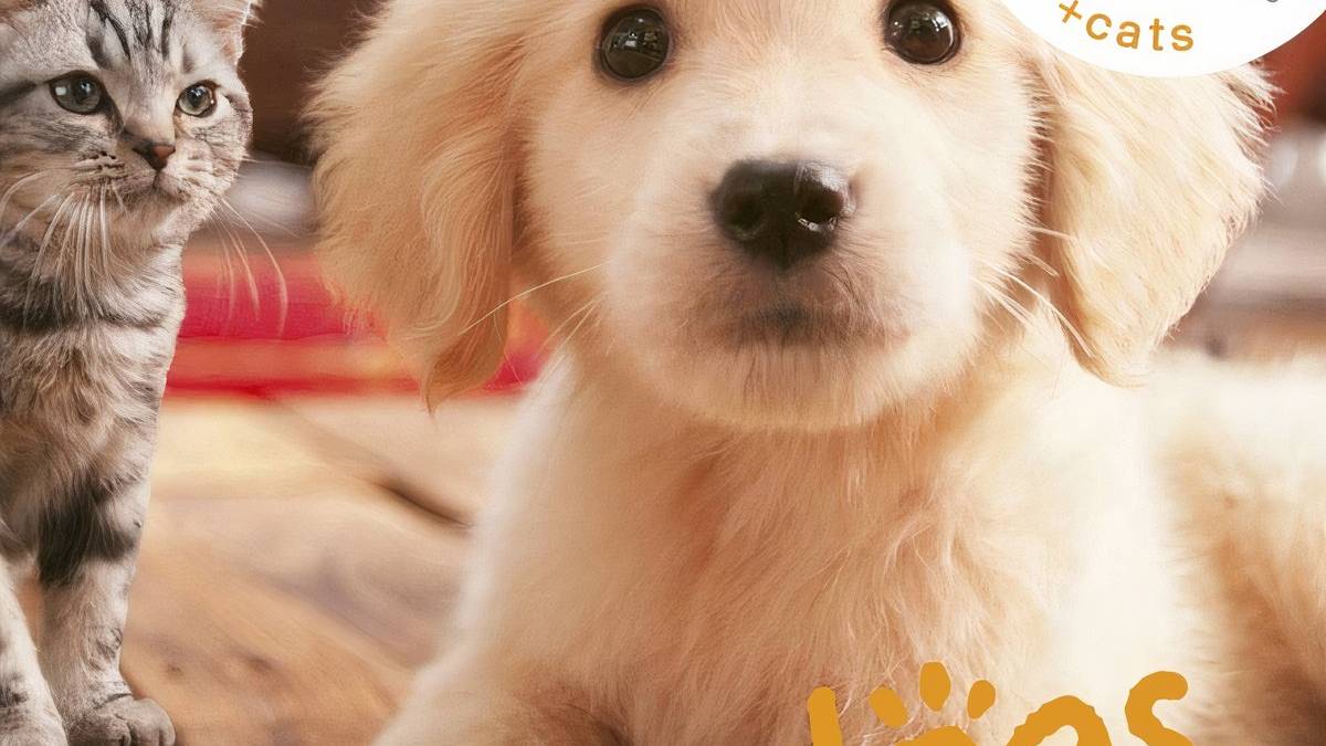 Nintendogs + Cats News, Trailer, Guides, and More