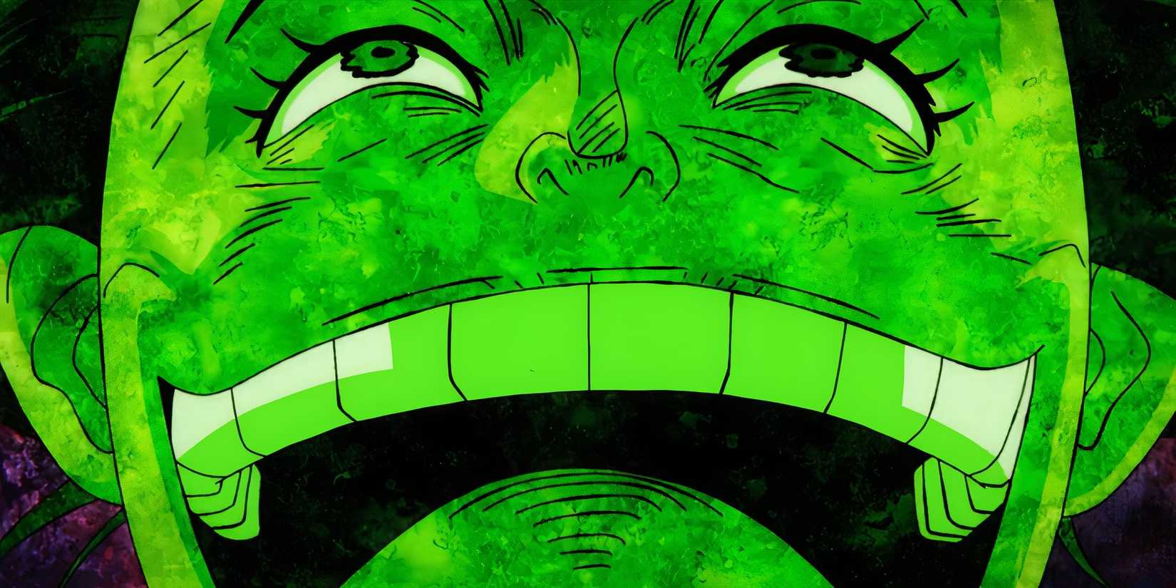 Smiles Are The Most Important Aspect Of One Piece