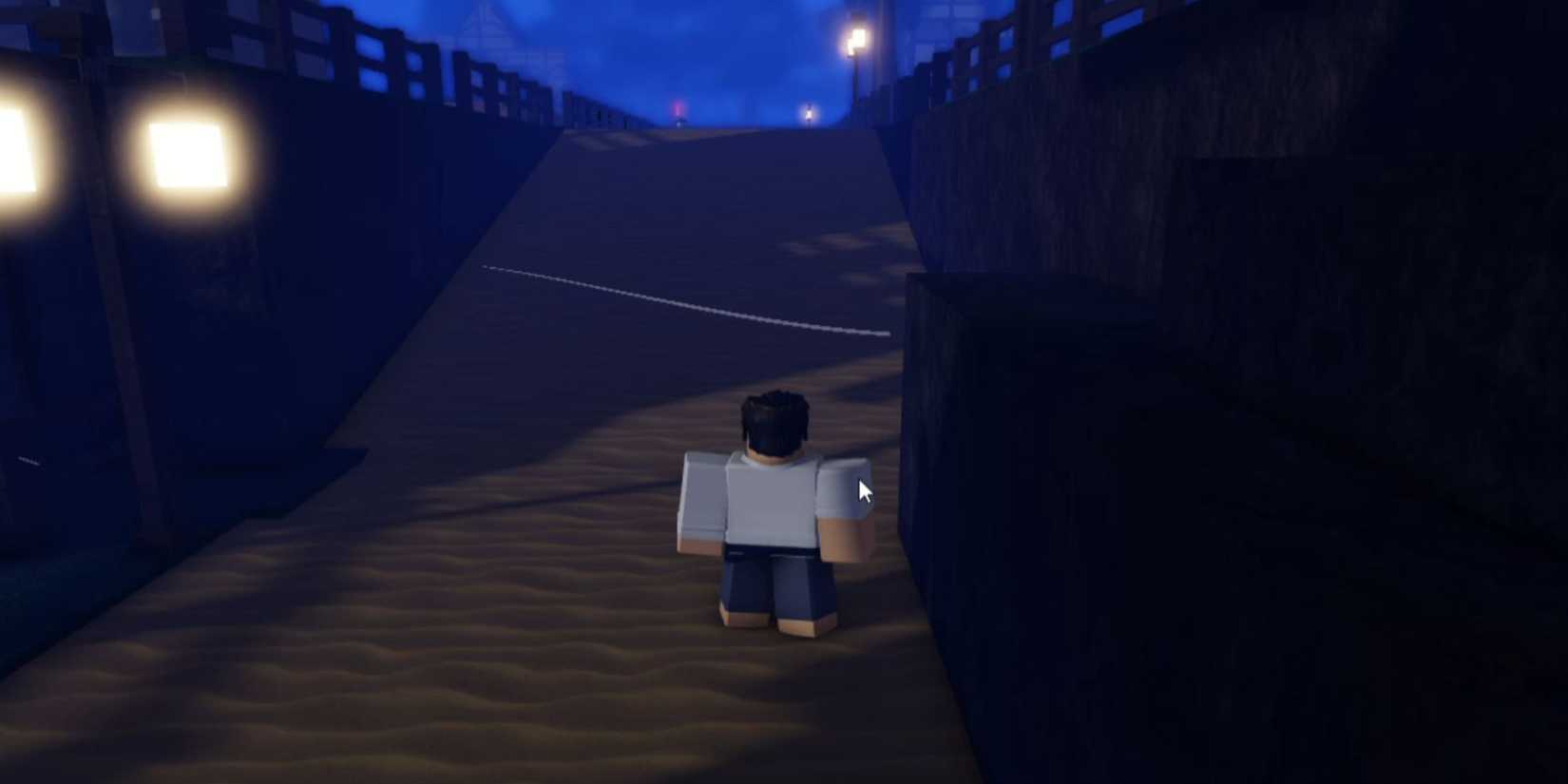 Roblox: Pro Piece Pro Max Codes