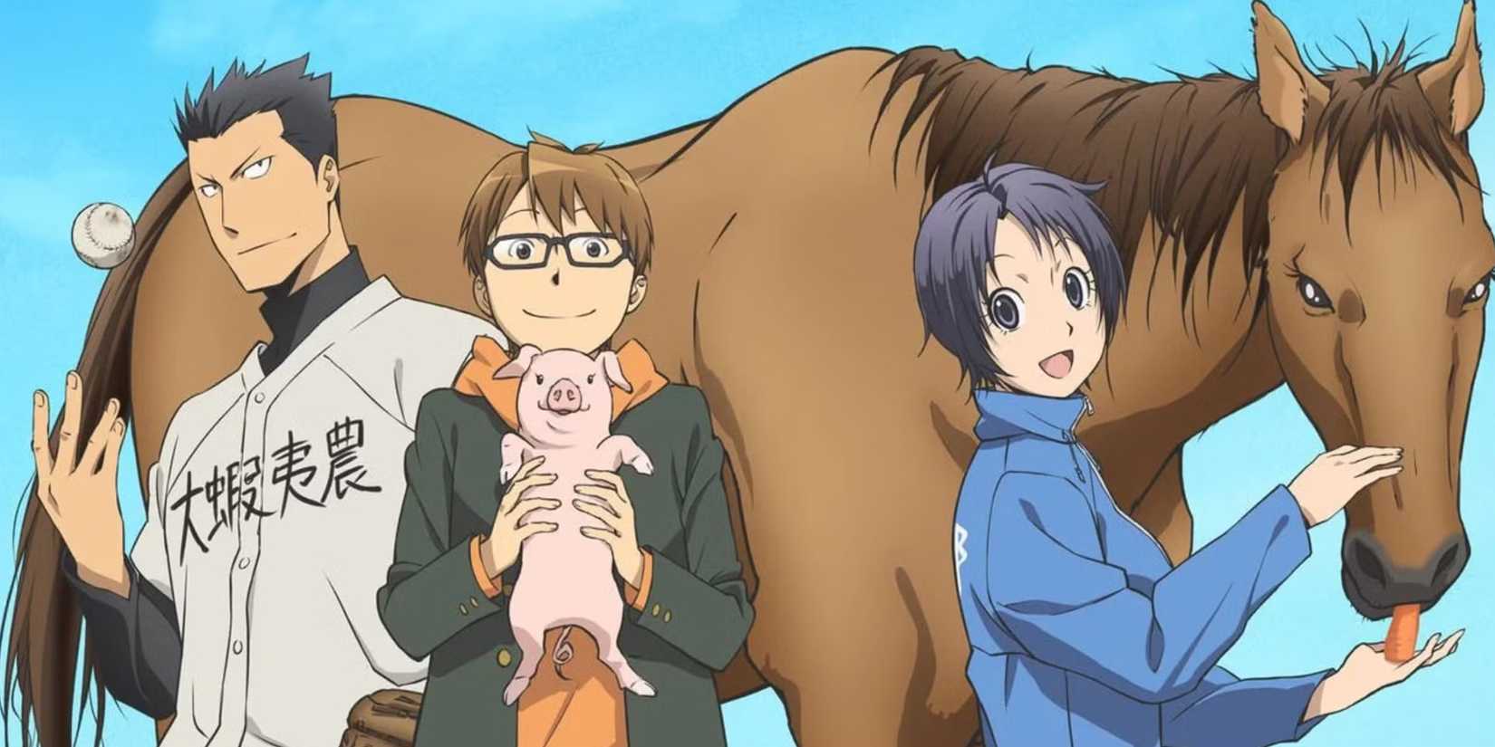Best Coming Of Age Anime, Ranked