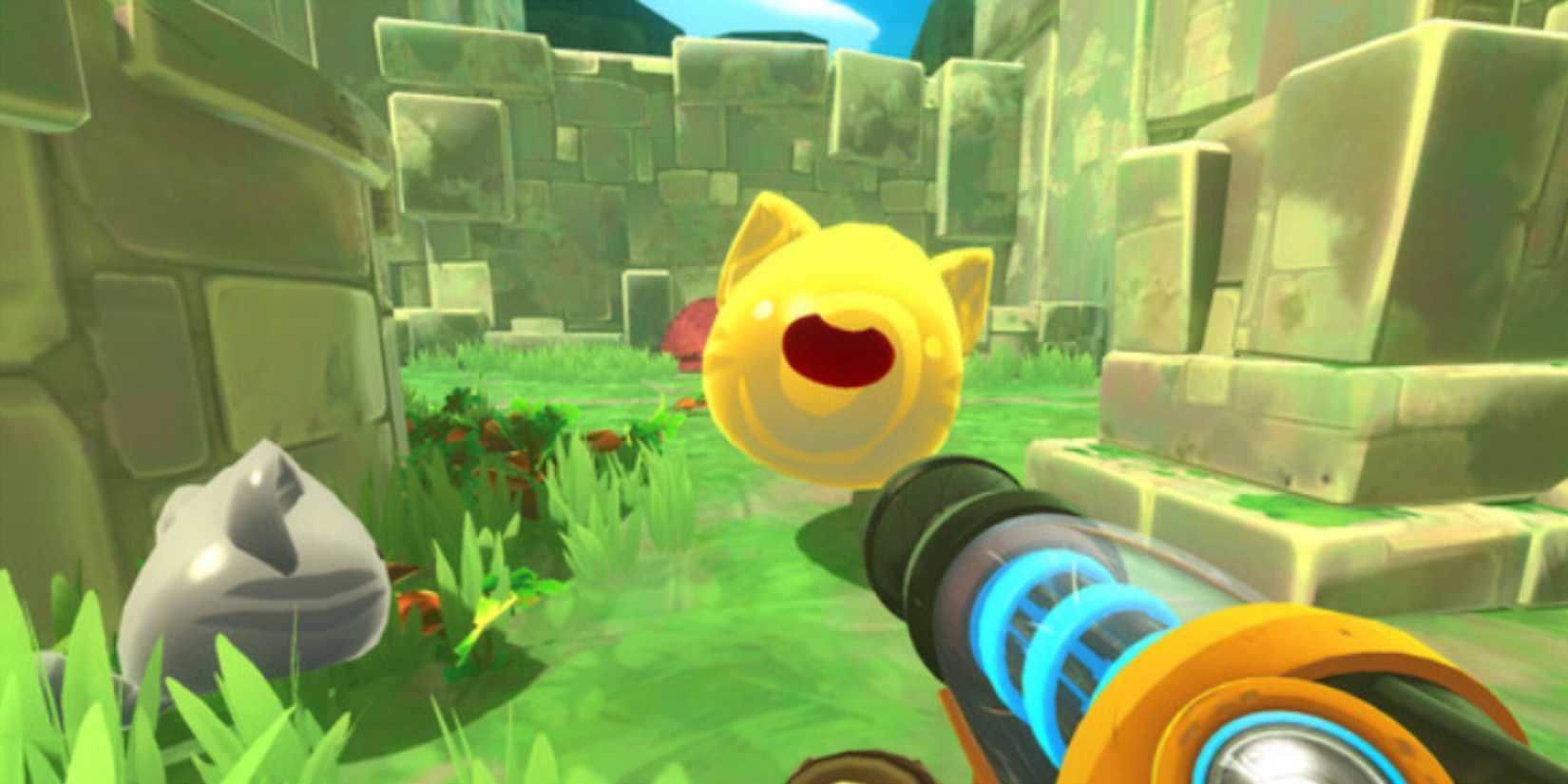 All Slimes, Spawn Locations, & Behaviors In Slime Rancher