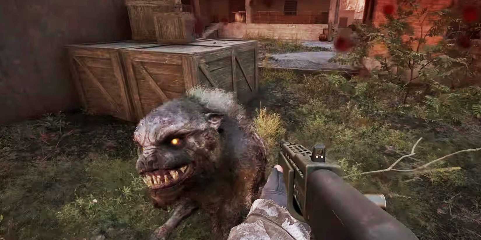 Toughest Enemies In STALKER 2 & How To Beat Them