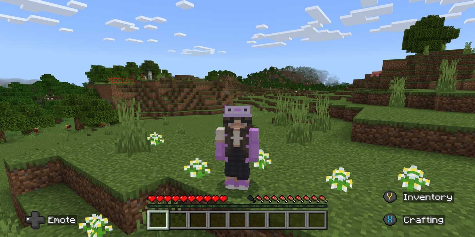 Minecraft: How To Find All Flowers