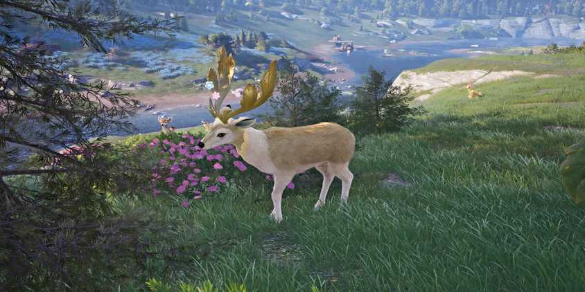 Infinity Nikki - Forced Perspective: Catching a Big Fish Guide