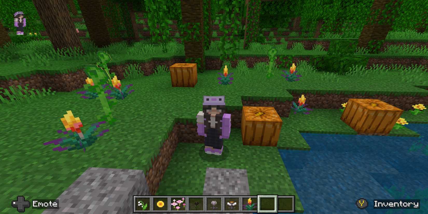 Minecraft: How To Find All Flowers