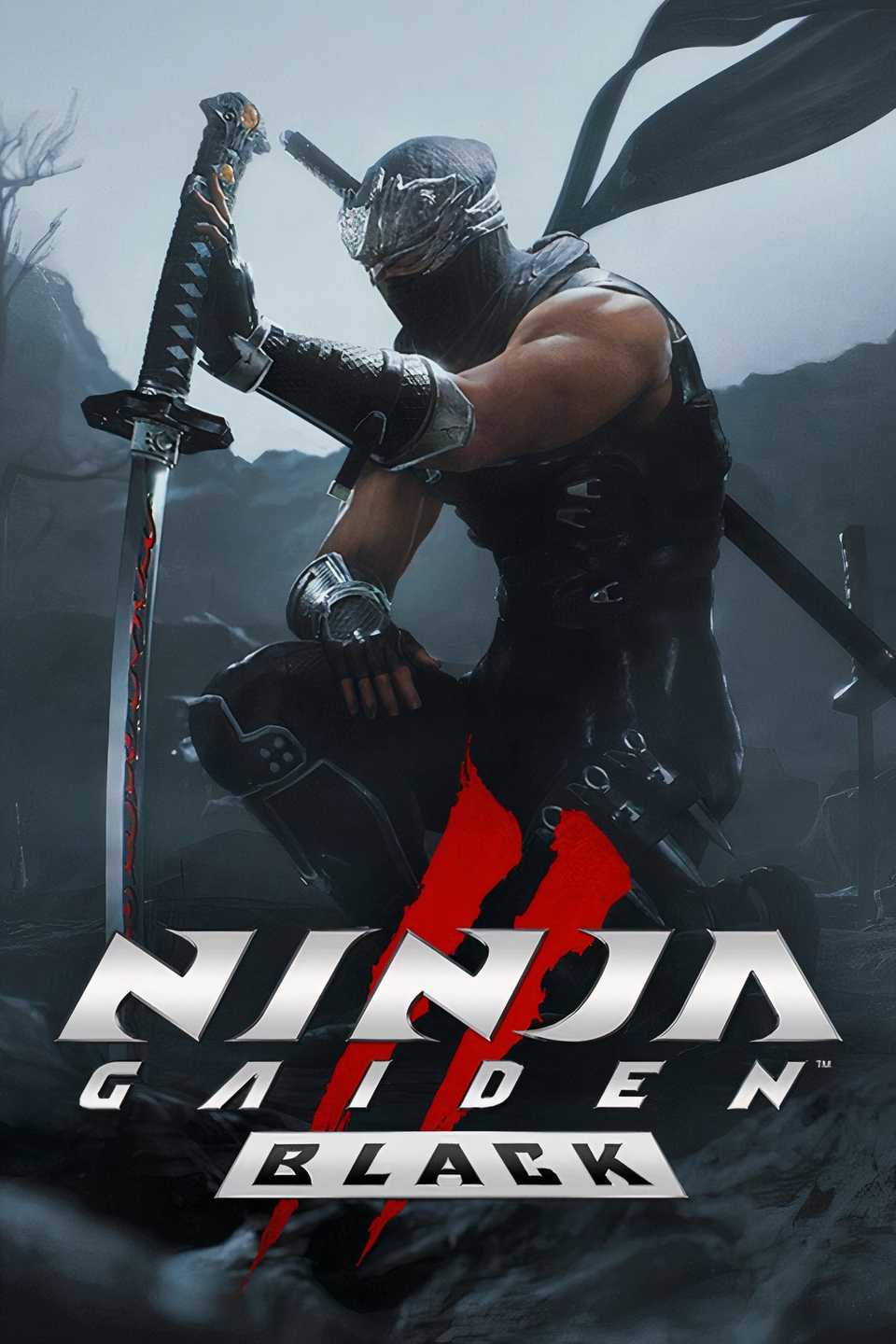 Every Playable Character In Ninja Gaiden 2 Black, Ranked