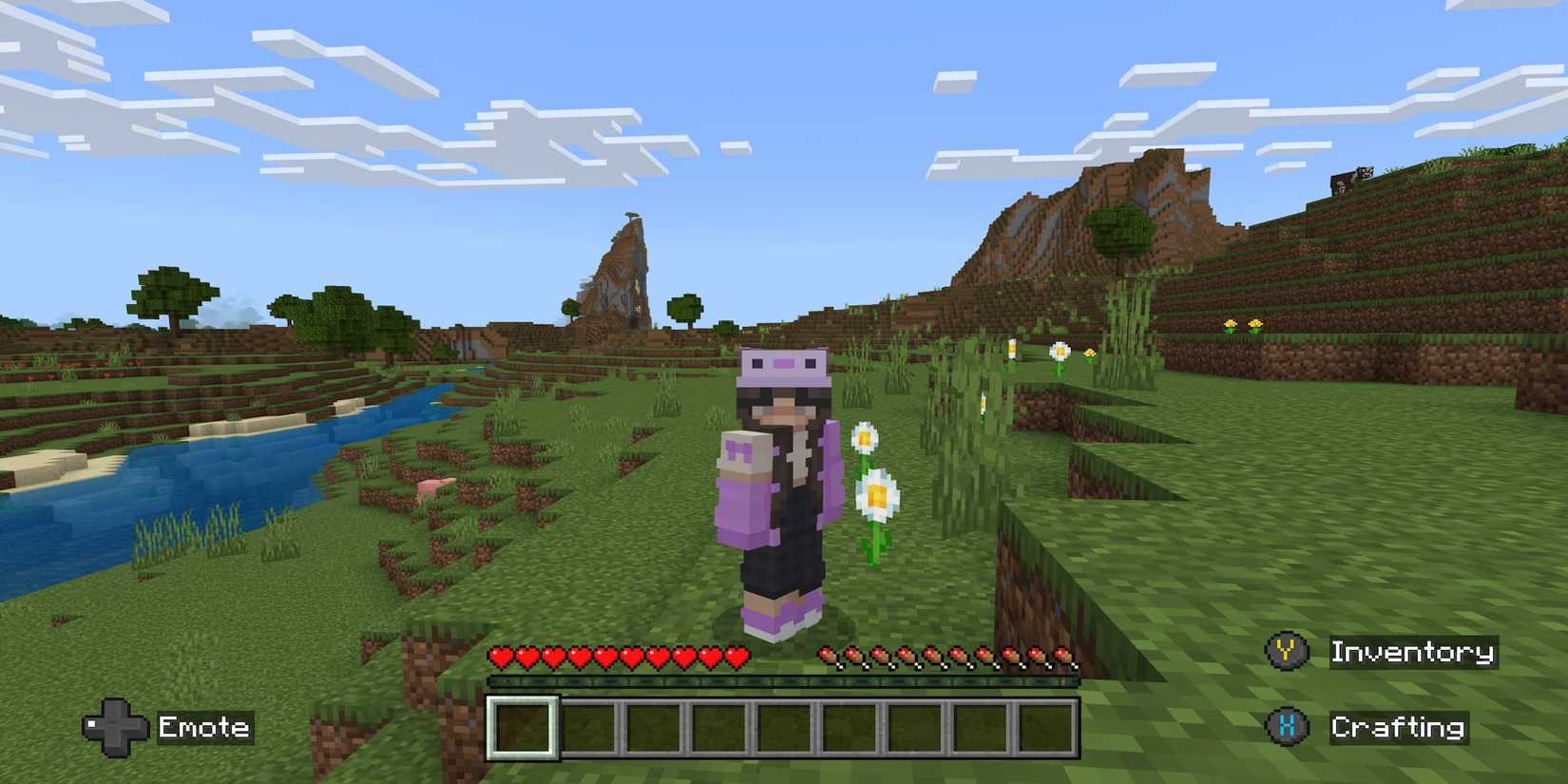 Minecraft: How To Find All Flowers