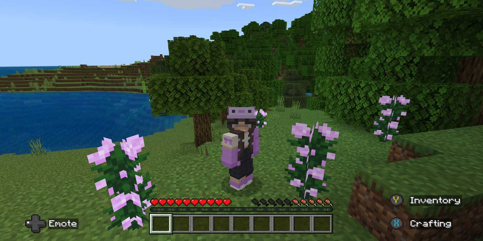 Minecraft: How To Find All Flowers