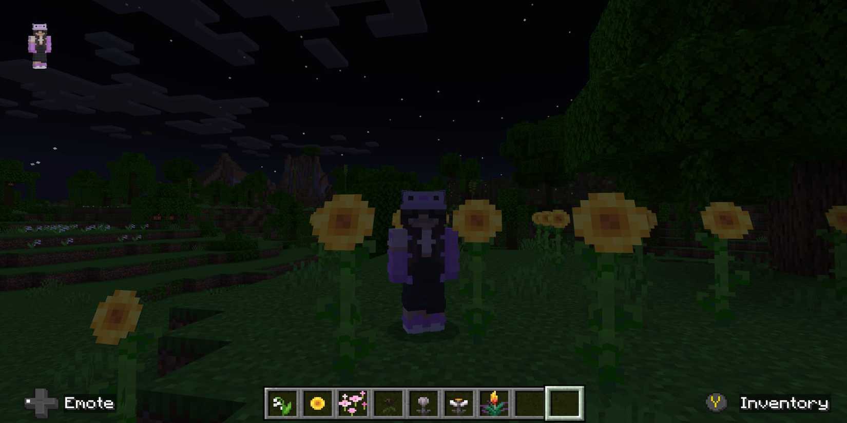 Minecraft: How To Find All Flowers