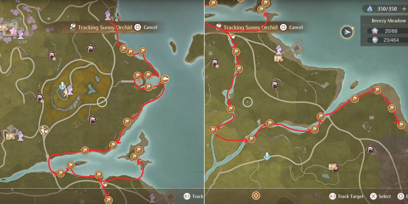 How To Get Sunny And Rainy Orchid In Infinity Nikki