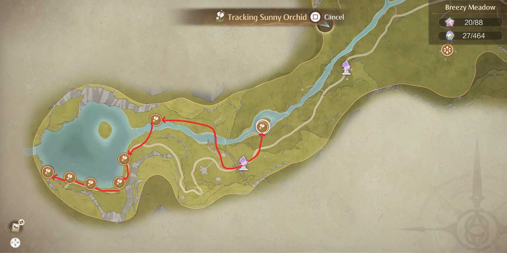 How To Get Sunny And Rainy Orchid In Infinity Nikki