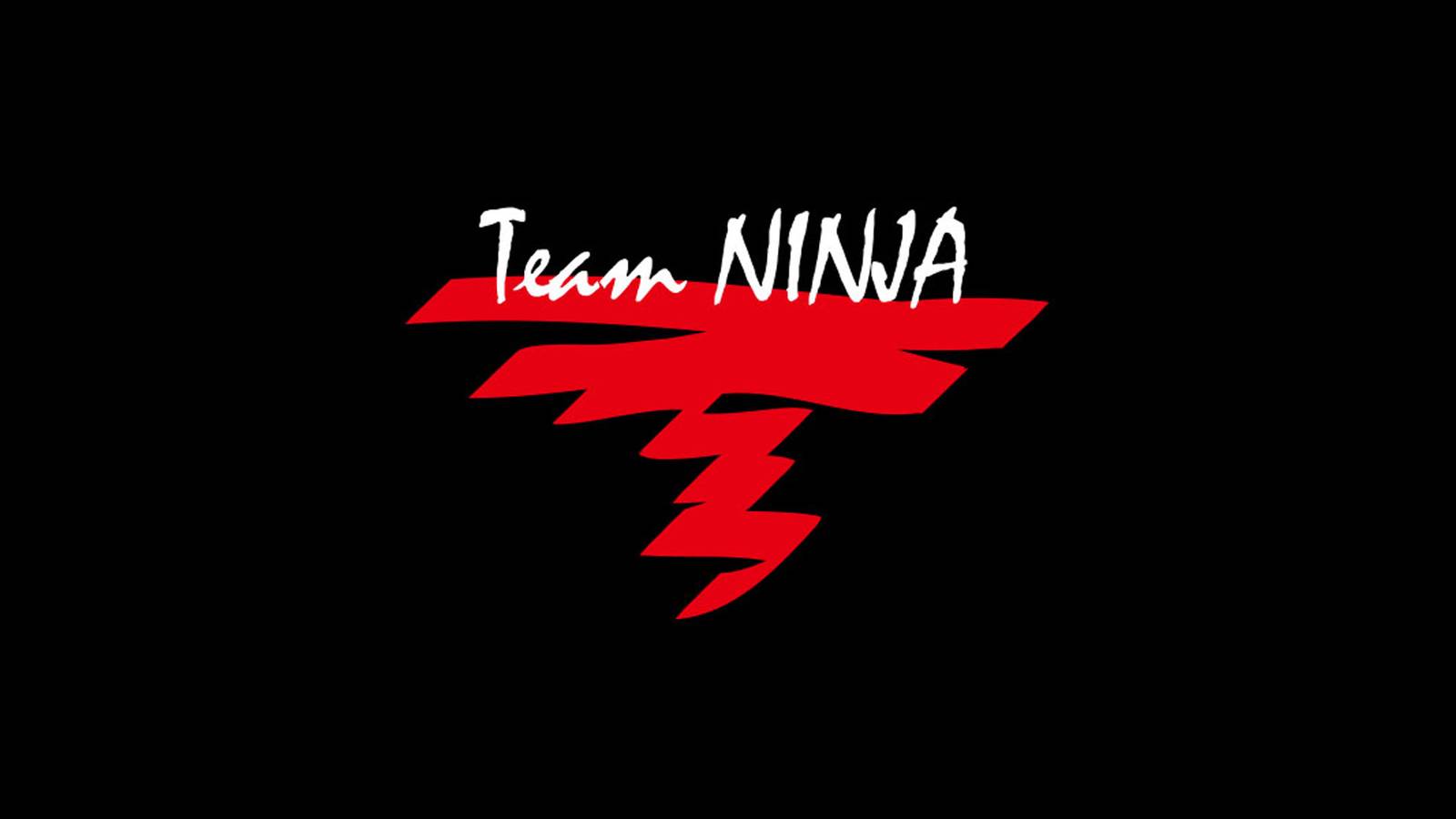 Team Ninja Teases 30th Anniversary Plans