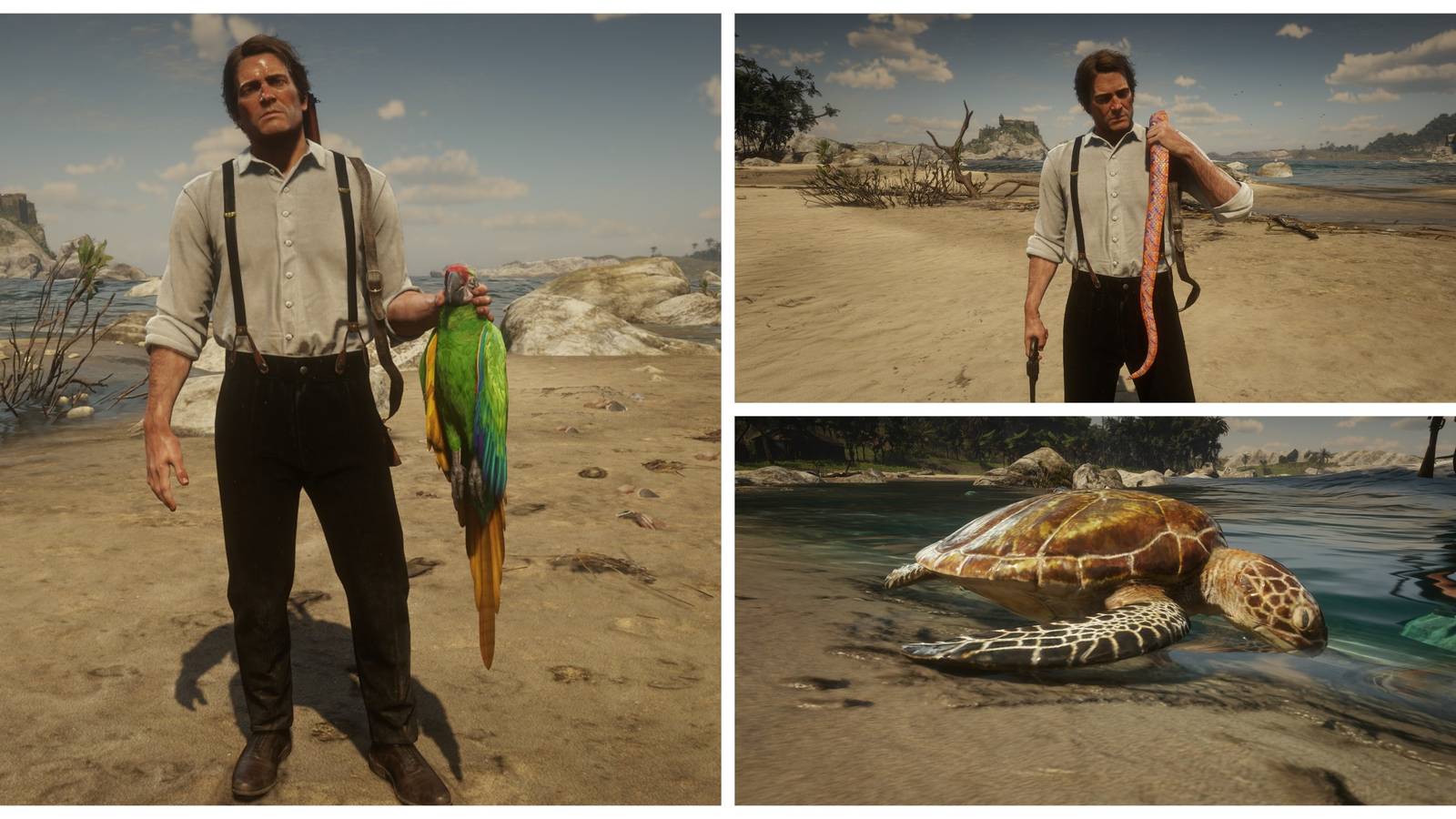 Red Dead Redemption 2: Every Guarma Animal Location