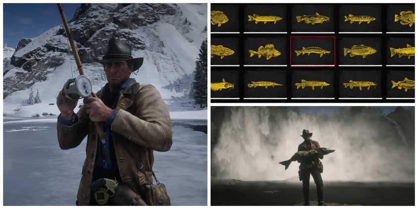 Where to Find the Abalone Shell Fragment in Red Dead Redemption 2