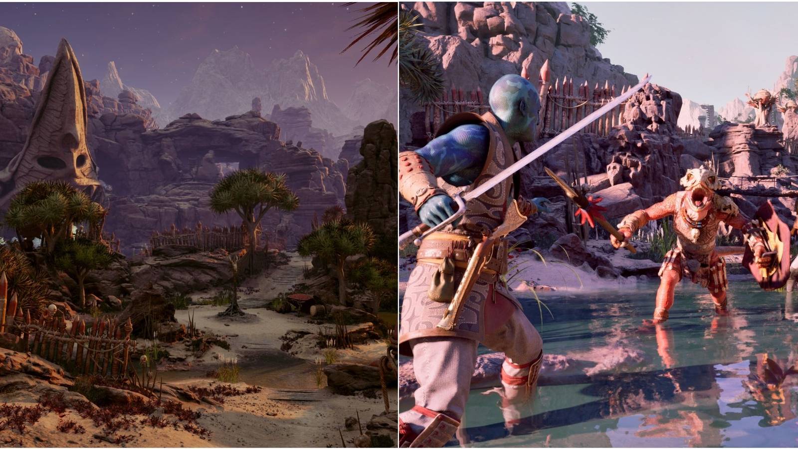 Avowed: Is Premium Edition Worth It?