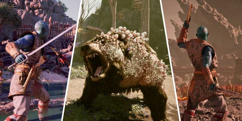 Max Level & Attribute Points in Avowed