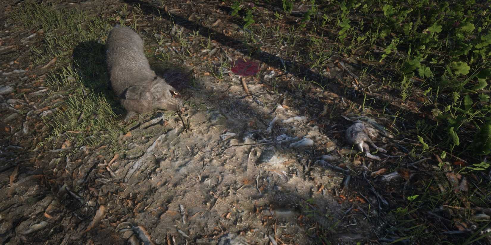 All Master Hunter Challenges & How to Beat Them – RDR2