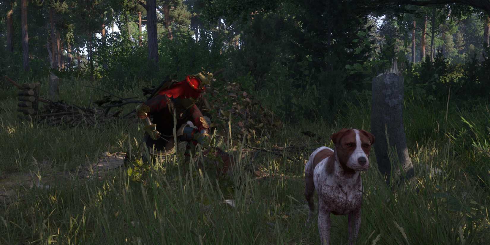 Kingdom Come: Deliverance 2 - Houndmaster Guide