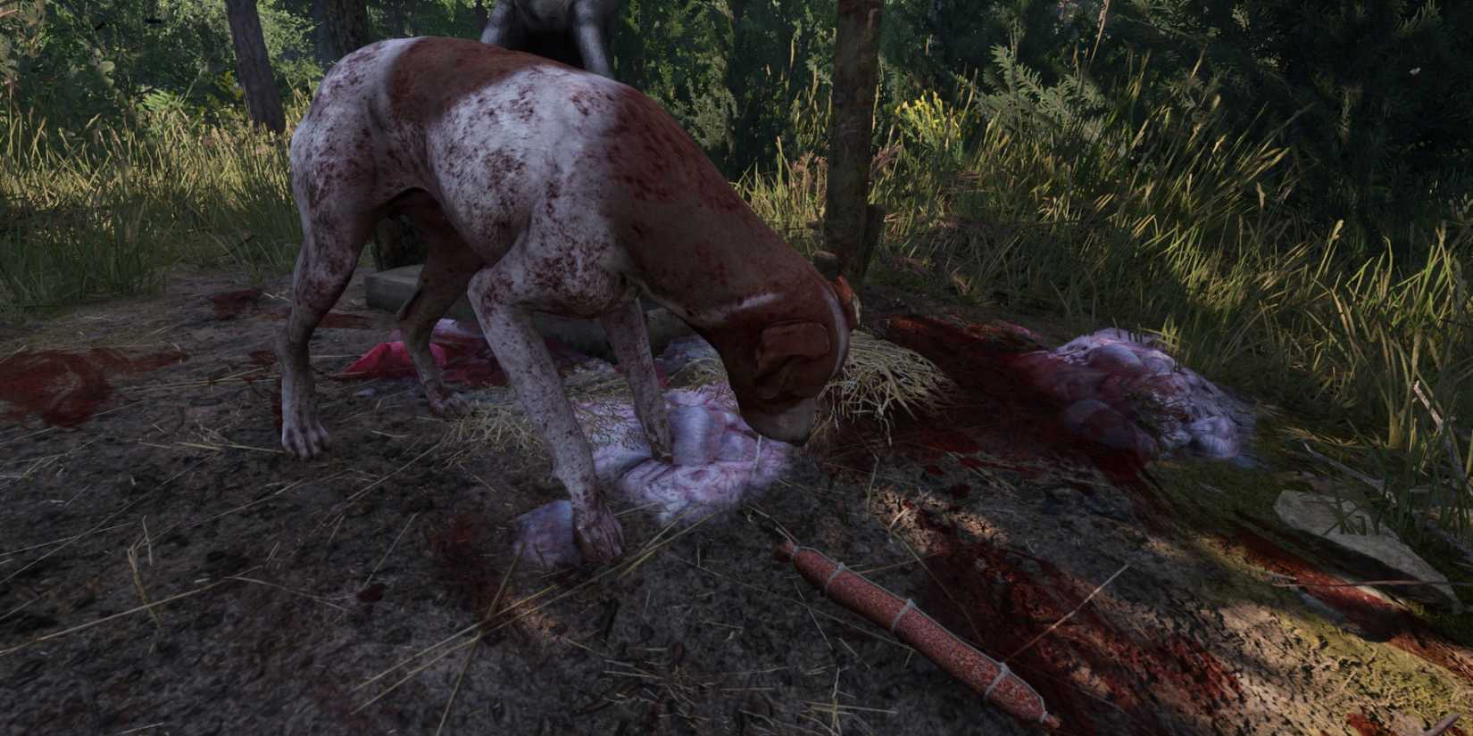 Kingdom Come: Deliverance 2 - Houndmaster Guide