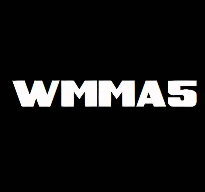 World Of Mixed Martial Arts 5 News, Trailer, Guides, and More