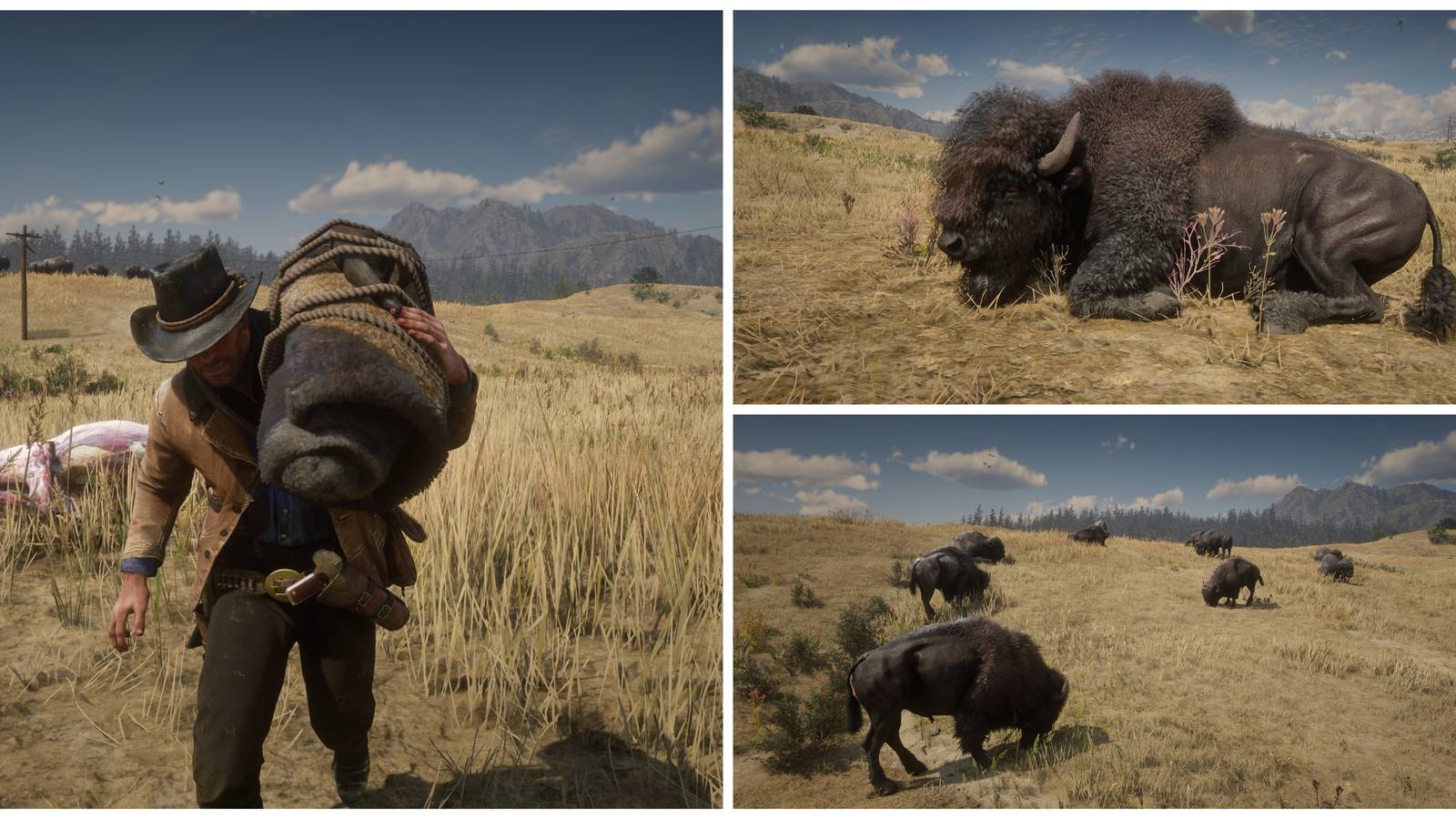 RDR2: Best Weapons for Hunting Bison