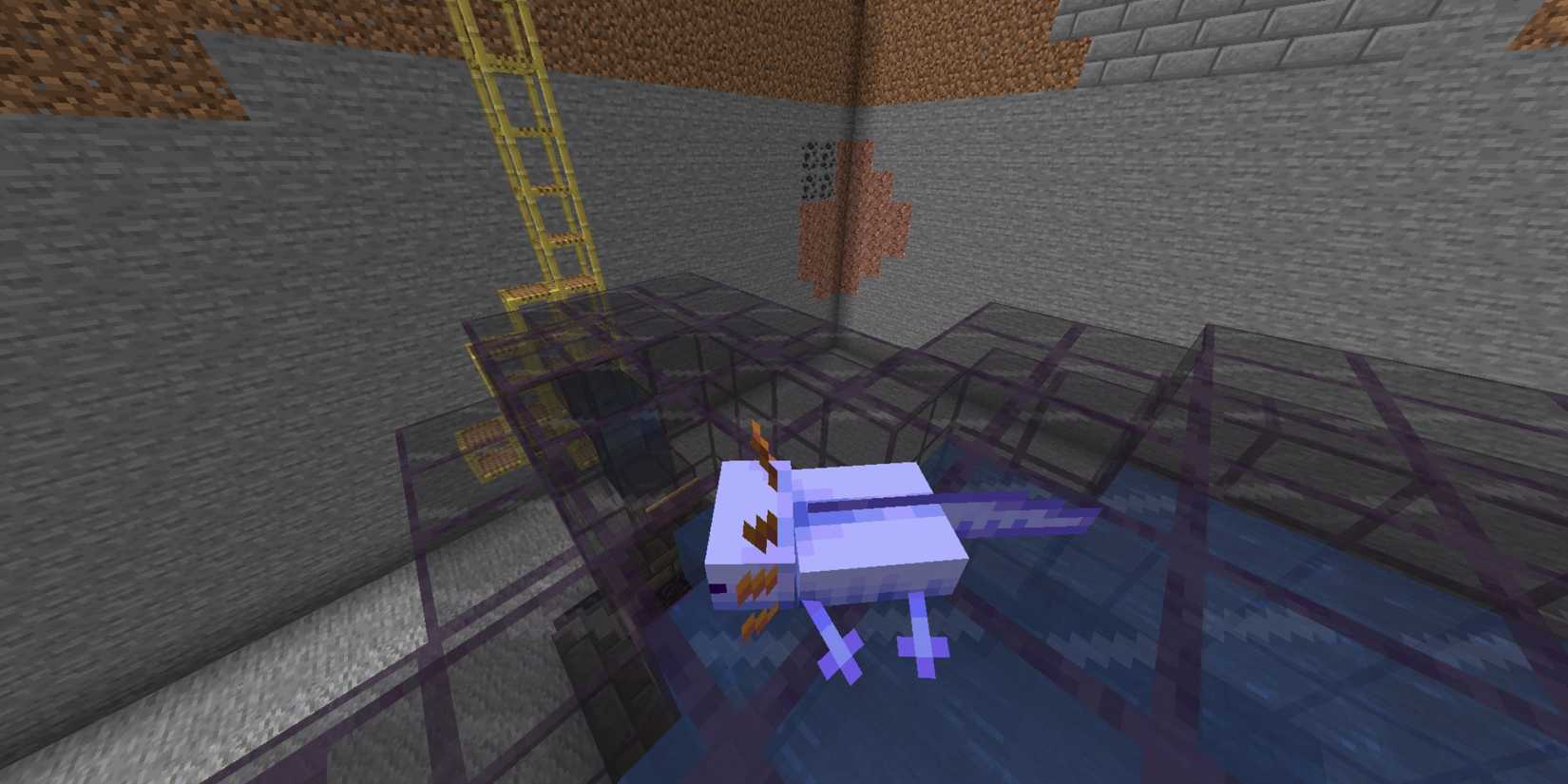 Rarest Minecraft Mob Variants