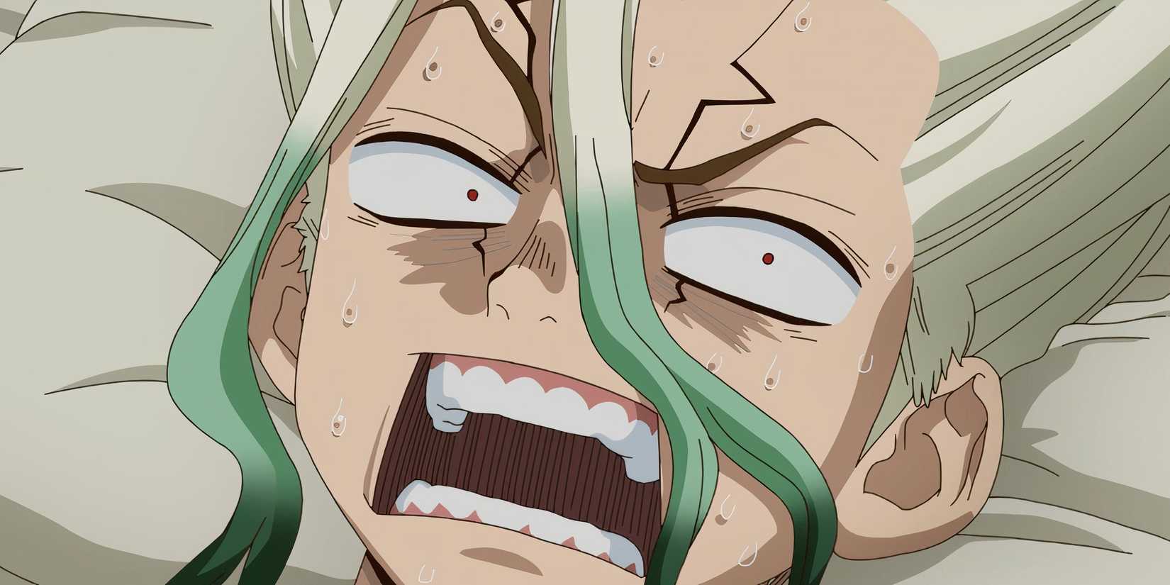 Dr. Stone Season 4 Cour 2 Release Window Confirmed