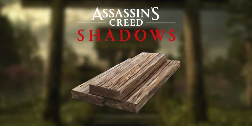 How To Find Lady Nene AC Shadows (Yasuke's Path)