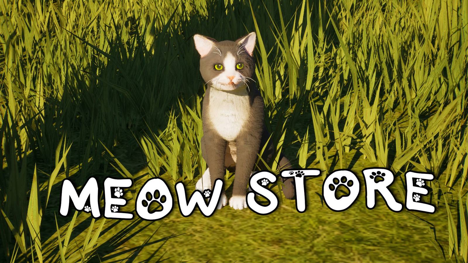 Meow Store Guide (How To Get Meow Coins) In InZOI