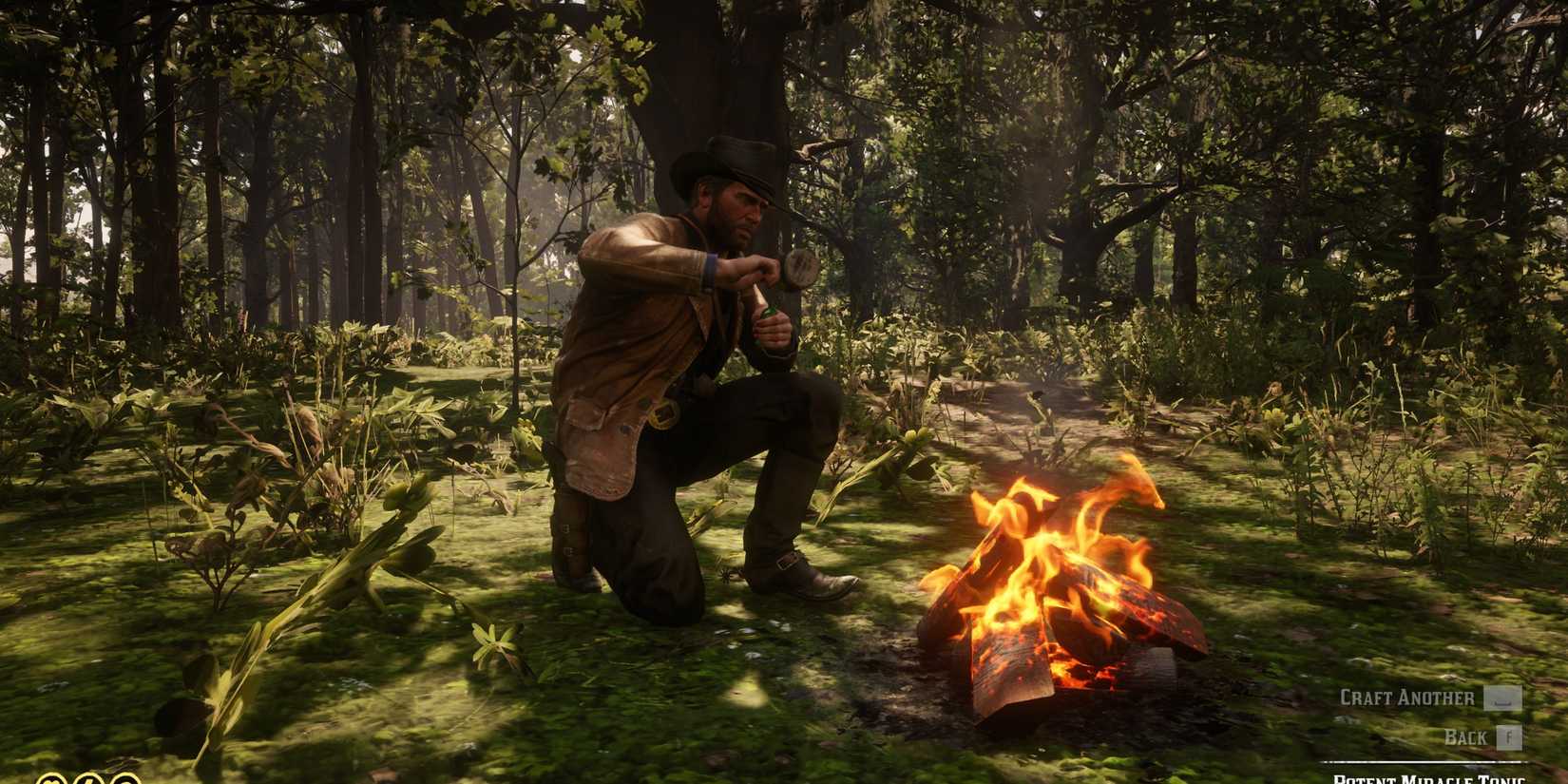 RDR2: Hummingbird Sage Locations